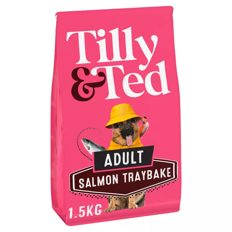 Pet Food Expert | Tilly & Ted Rich in Salmon Traybake