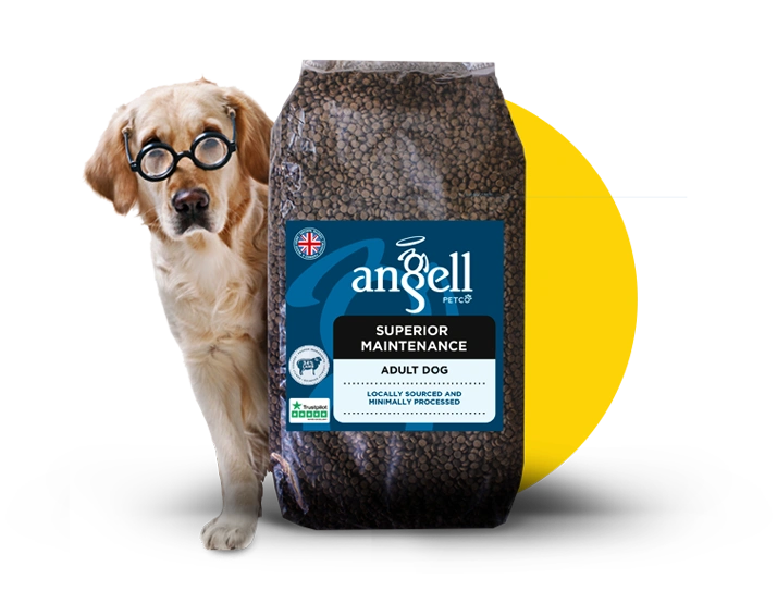 Pet Food Expert | Angell PetCo Superior Maintenance