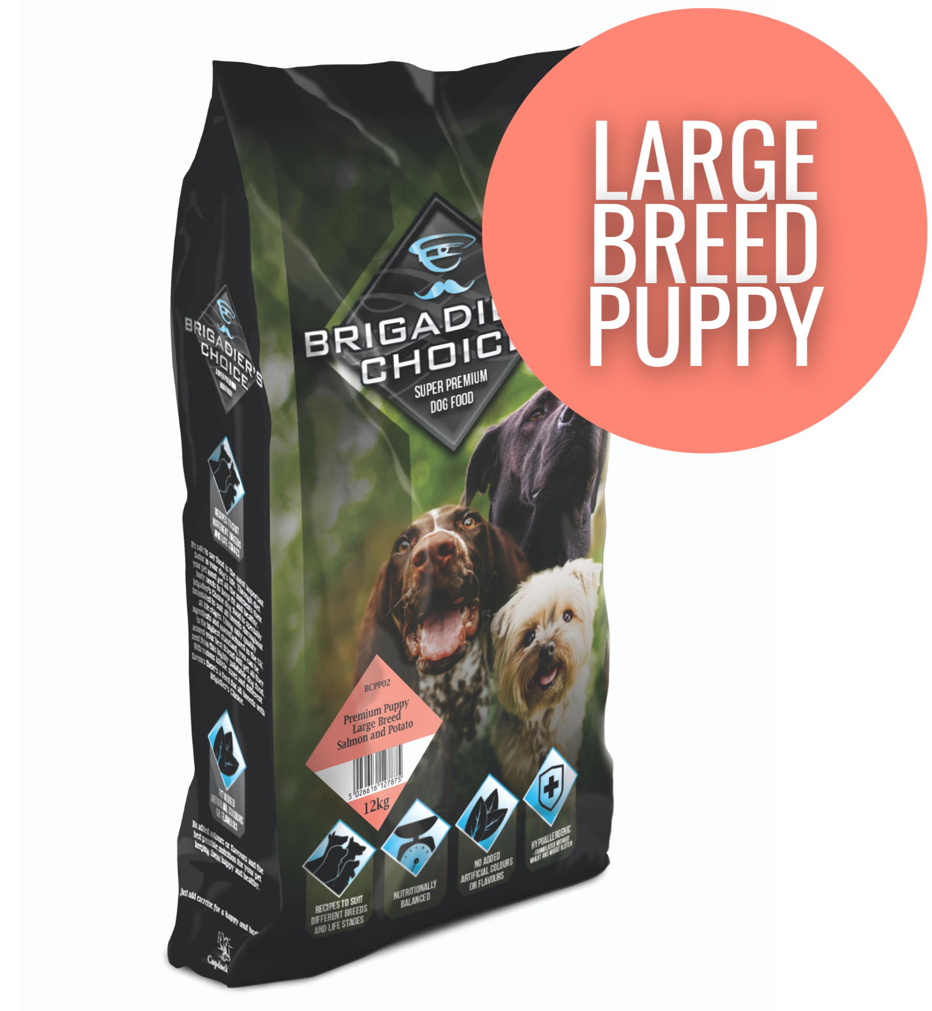 Pet Food Expert | Brigadier's Choice Puppy Large Breed Salmon & Potato